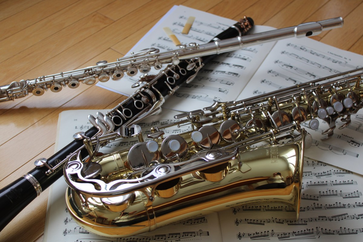 Bio | Amy Simon Clarinet & Woodwinds